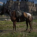 Pimp My Horse 0.1 - Red Dead Redemption 2 Mod