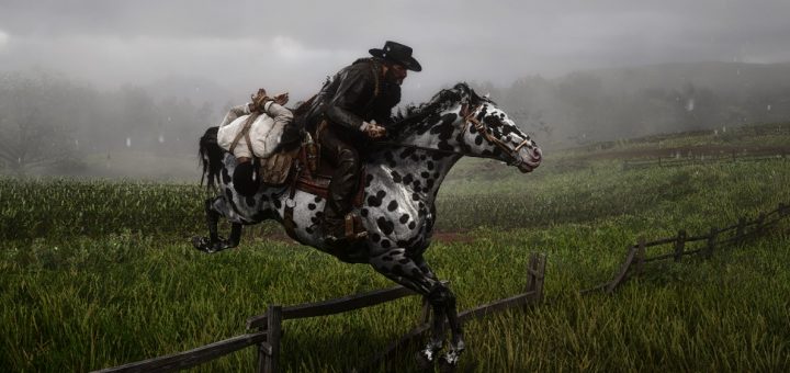 Save Game - Red Dead Redemption 2 Save Game | RDR2 Save Game