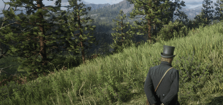Scripts - Red Dead Redemption 2 Scripts Mods | RDR2 Scripts Mods