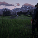 Reshade Natural Vision - Red Dead Redemption 2 Mod