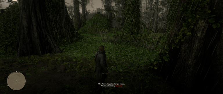 Red Dead Wanted - Red Dead Redemption 2 Mod