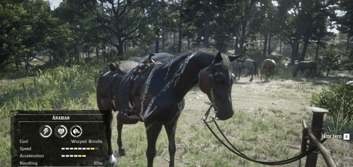 RDR2 - Intro Completed Save File - Red Dead Redemption 2 Mod