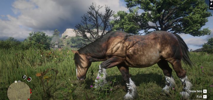 Models, Textures - Red Dead Redemption 2 Models, Textures Mods | RDR2 ...