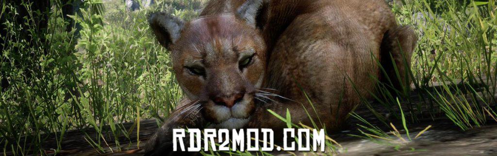 RDR2 Cougar | Red Dead Redemption 2 Cougar | Location