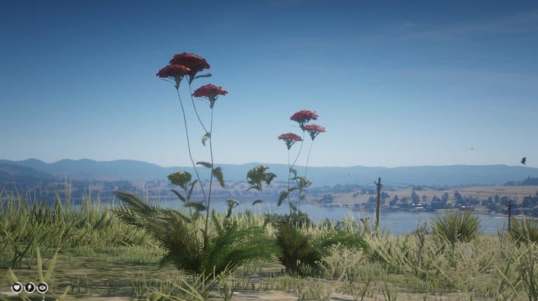 Plants Finder - Red Dead Redemption 2 Mod