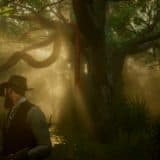 Rdr2 Best Possible Performance config fow Low End-potato PC - Red Dead ...