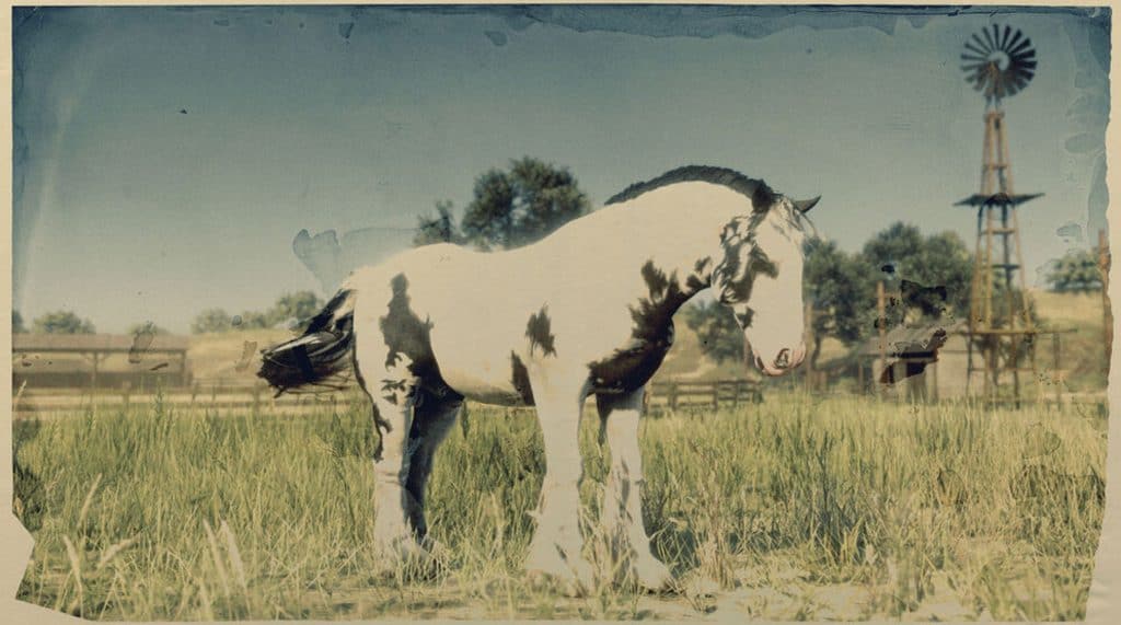 Crow's Horse Pack - Red Dead Redemption 2 Mod