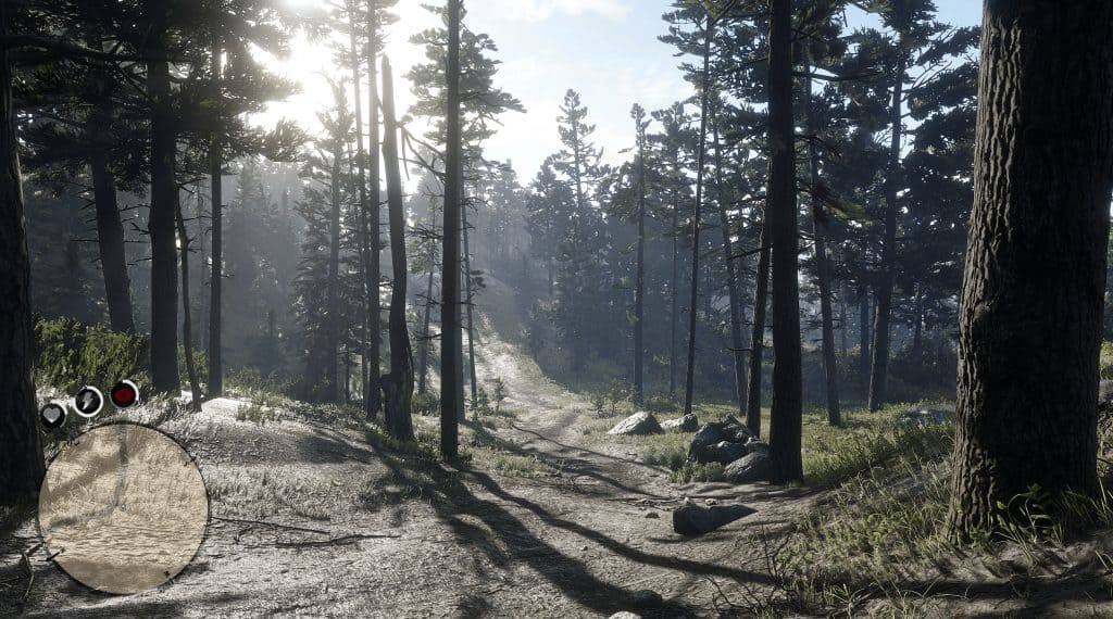 RDR2 - Advanced Game Settings - Red Dead Redemption 2 Mod