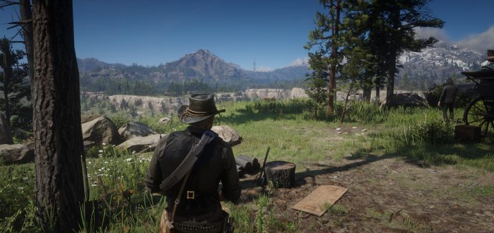 RDR2 Game Launcher - Red Dead Redemption 2 Mod