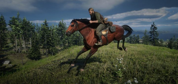 Models, Textures - Red Dead Redemption 2 Models, Textures Mods | RDR2 ...