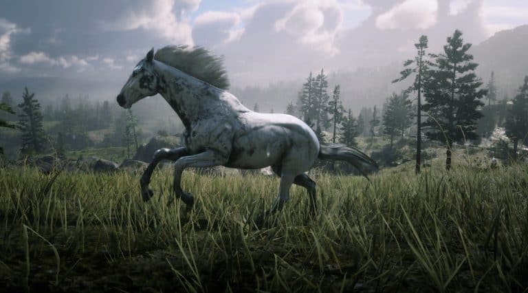 Appaloosa - Red Dead Redemption 2 Mod
