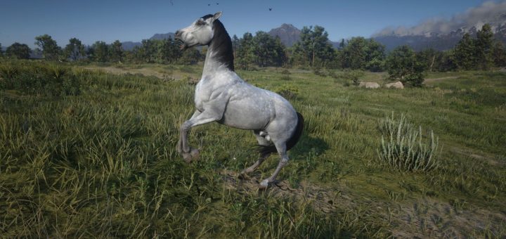 Models, Textures - Red Dead Redemption 2 Models, Textures Mods | RDR2 ...