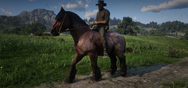 Models, Textures - Red Dead Redemption 2 Models, Textures Mods | RDR2 ...