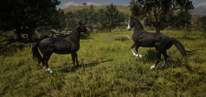 Models, Textures - Red Dead Redemption 2 Models, Textures Mods | RDR2 ...