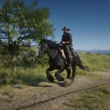 Gypsy Cob - Red Dead Redemption 2 Mod
