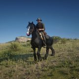 Gypsy Cob - Red Dead Redemption 2 Mod