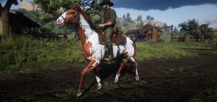 Models, Textures - Red Dead Redemption 2 Models, Textures Mods | RDR2 ...