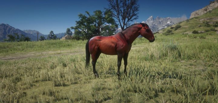 Models, Textures - Red Dead Redemption 2 Models, Textures Mods | RDR2 ...