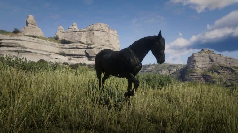 Nokota - Red Dead Redemption 2 Mod