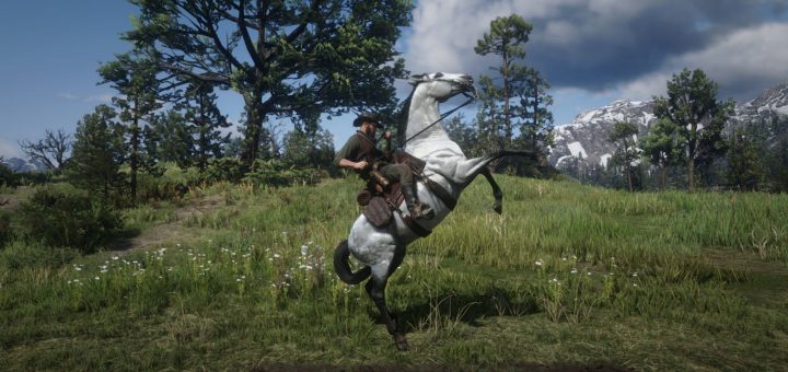 Models, Textures - Red Dead Redemption 2 Models, Textures Mods | RDR2 ...