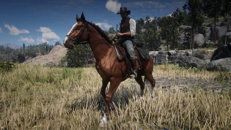 Dutch Warmblood - Red Dead Redemption 2 Mod