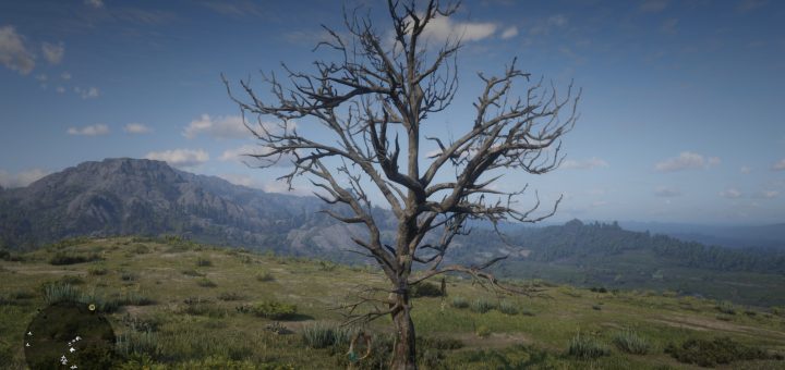 Gameplay Effects, Changes - Red Dead Redemption 2 Gameplay Effects ...
