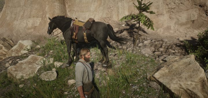 Models, Textures - Red Dead Redemption 2 Models, Textures Mods | RDR2 ...