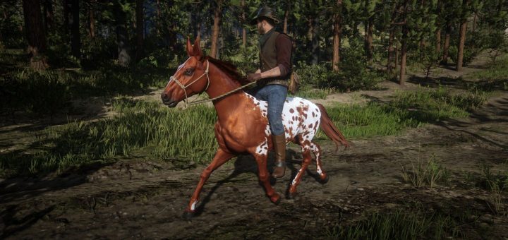 Models, Textures - Red Dead Redemption 2 Models, Textures Mods | RDR2 ...