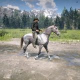 Red Dead Turkoman - Red Dead Redemption 2 Mod