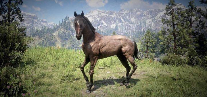 Models, Textures - Red Dead Redemption 2 Models, Textures Mods | RDR2 ...