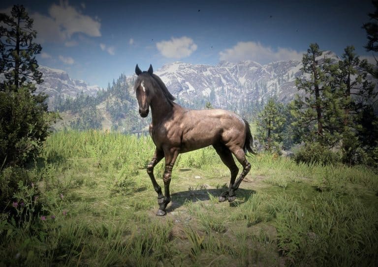 Red Dead Turkoman - Red Dead Redemption 2 Mod