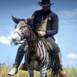 Horse Moustache Overhaul - Red Dead Redemption 2 Mod