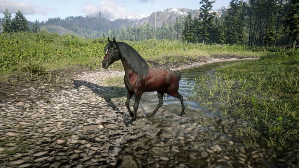 Red Dead Arabian - Red Dead Redemption 2 Mod