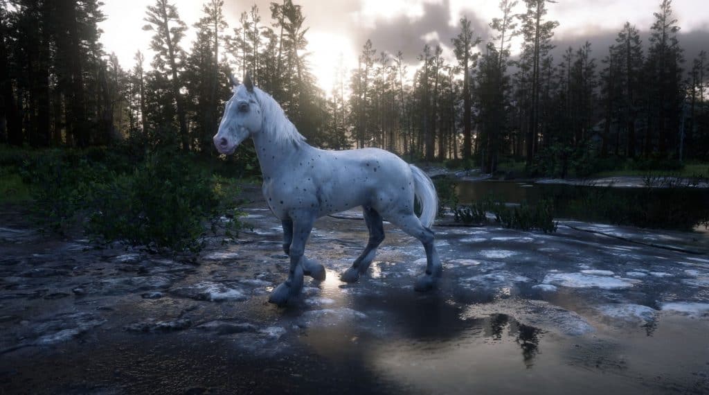 Red Dead Belgian - Red Dead Redemption 2 Mod