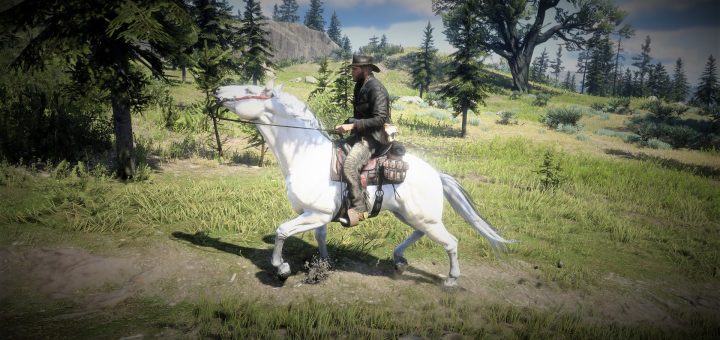 Models, Textures - Red Dead Redemption 2 Models, Textures Mods | RDR2 ...