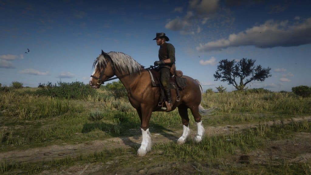 Welsh Pony and Cob - Red Dead Redemption 2 Mod