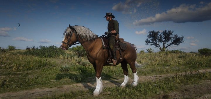 Models, Textures - Red Dead Redemption 2 Models, Textures Mods | RDR2 ...