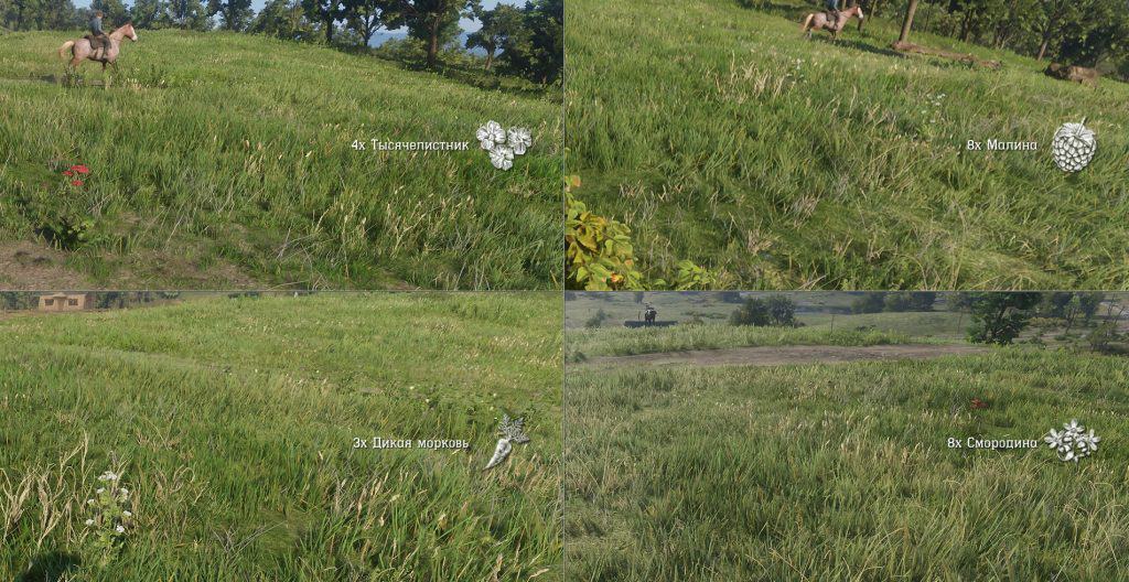 Herbalist - Red Dead Redemption 2 Mod