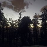 RDR1 Graphics ReShade - Red Dead Redemption 2 Mod