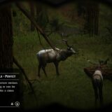 Hunting Grounds v1.2.2 - Red Dead Redemption 2 Mod