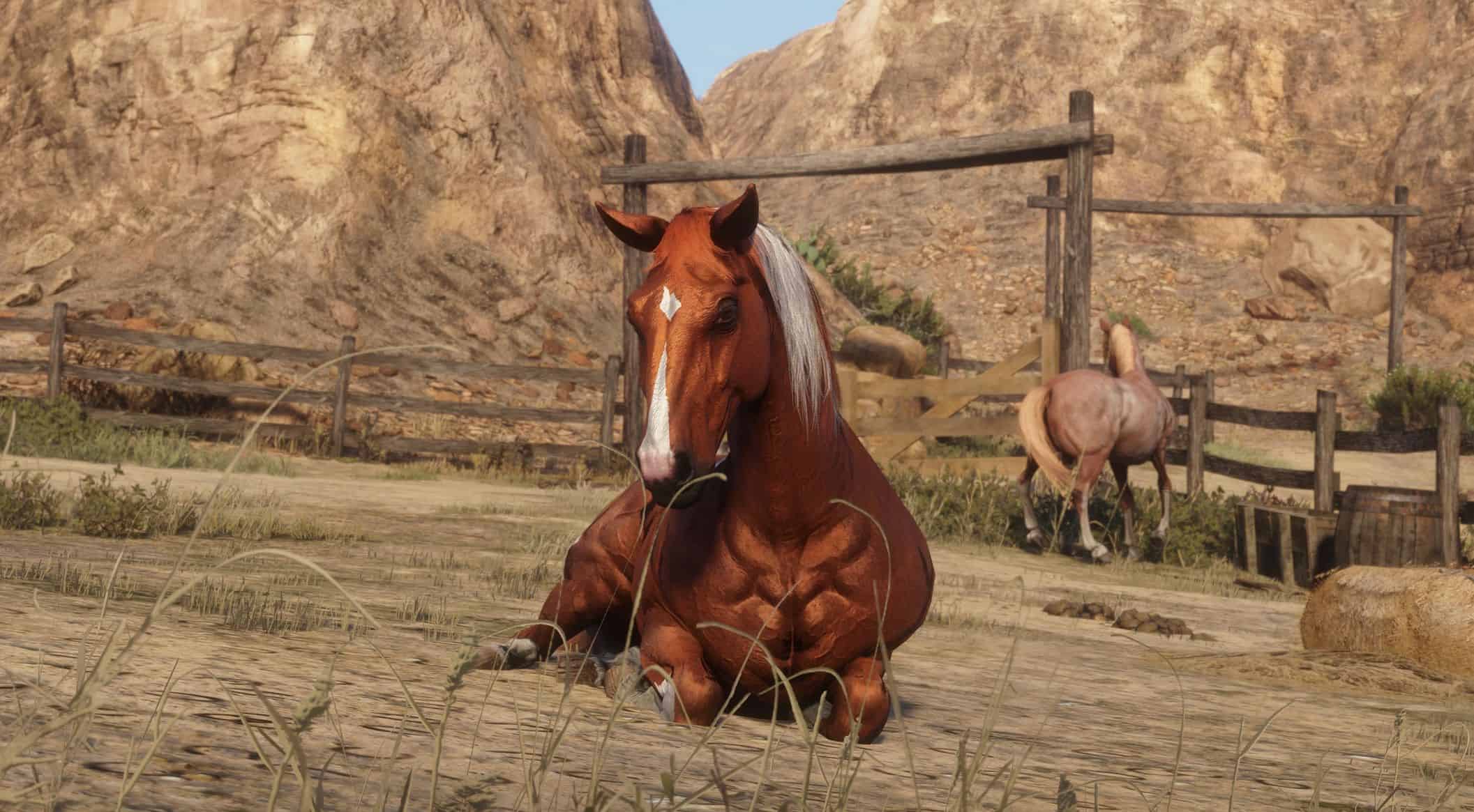Ridgewood Horse Fence v1.0 - Red Dead Redemption 2 Mod